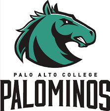 Palo Alto College Palominos | MascotDB.com - the team name database